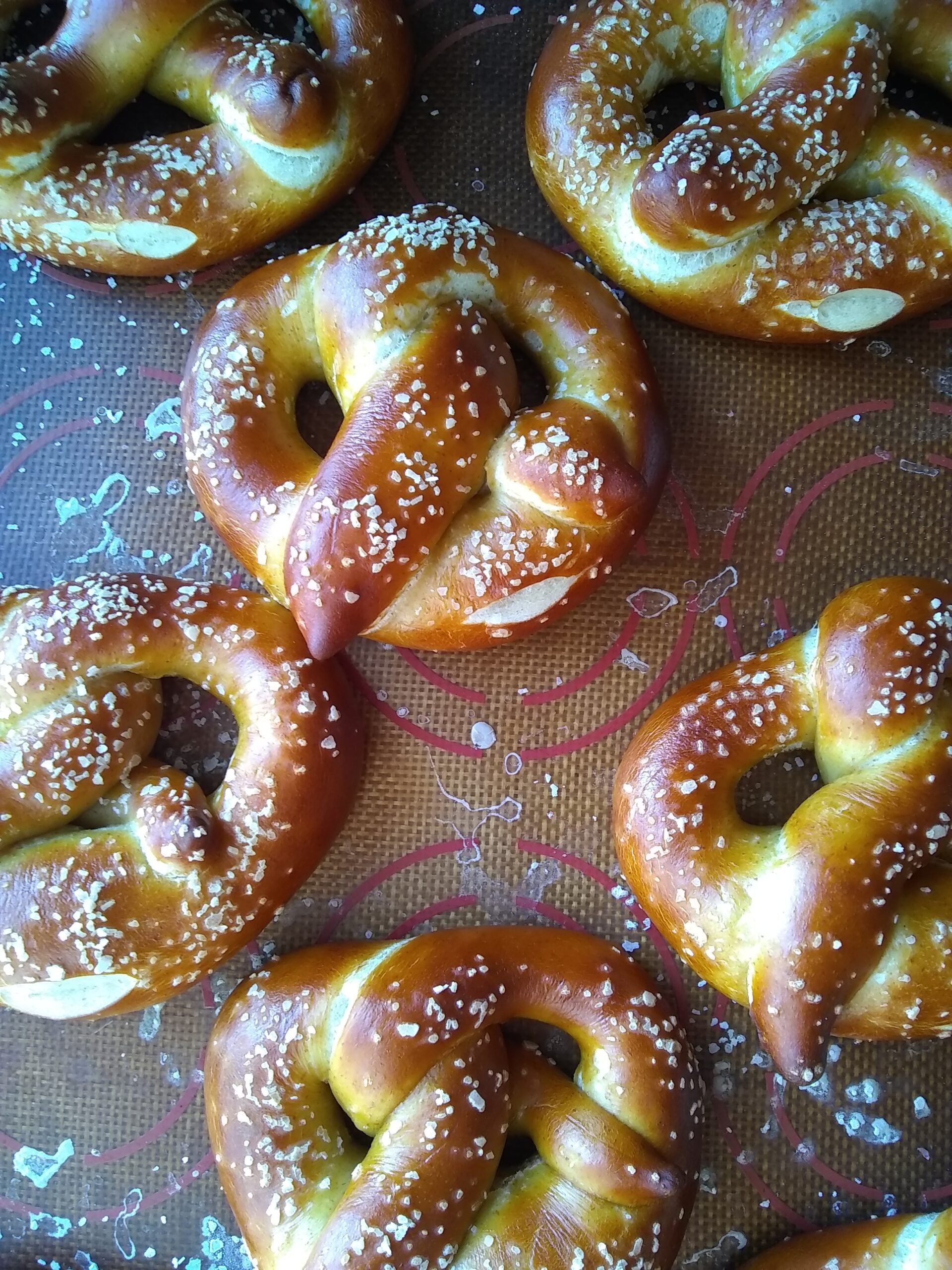 October 4th, 2024: Sourdough Soft Pretzels - Hillsdale Hearth