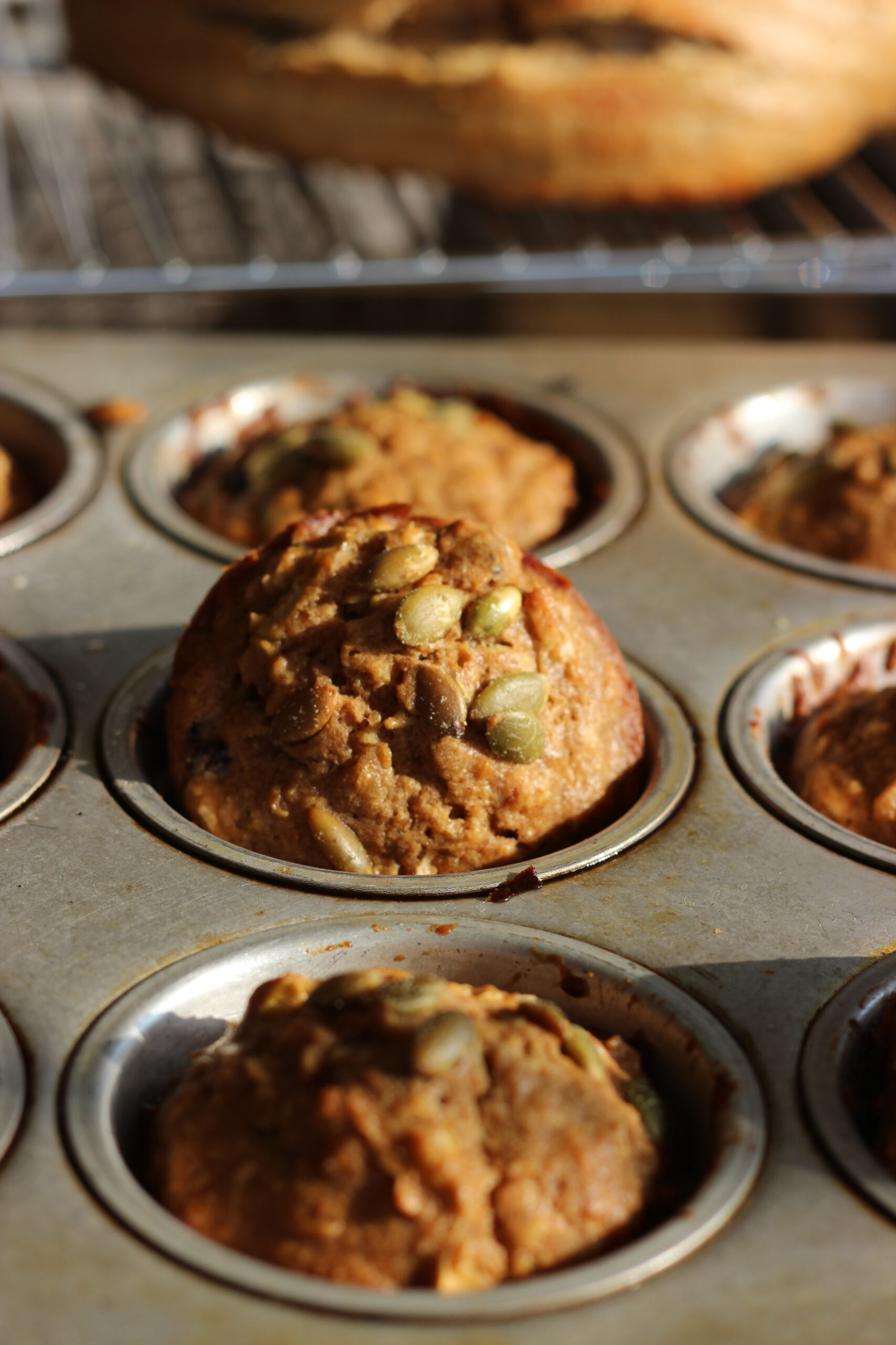 March 8th, 2024: Morning Glory Muffins - Hillsdale Hearth