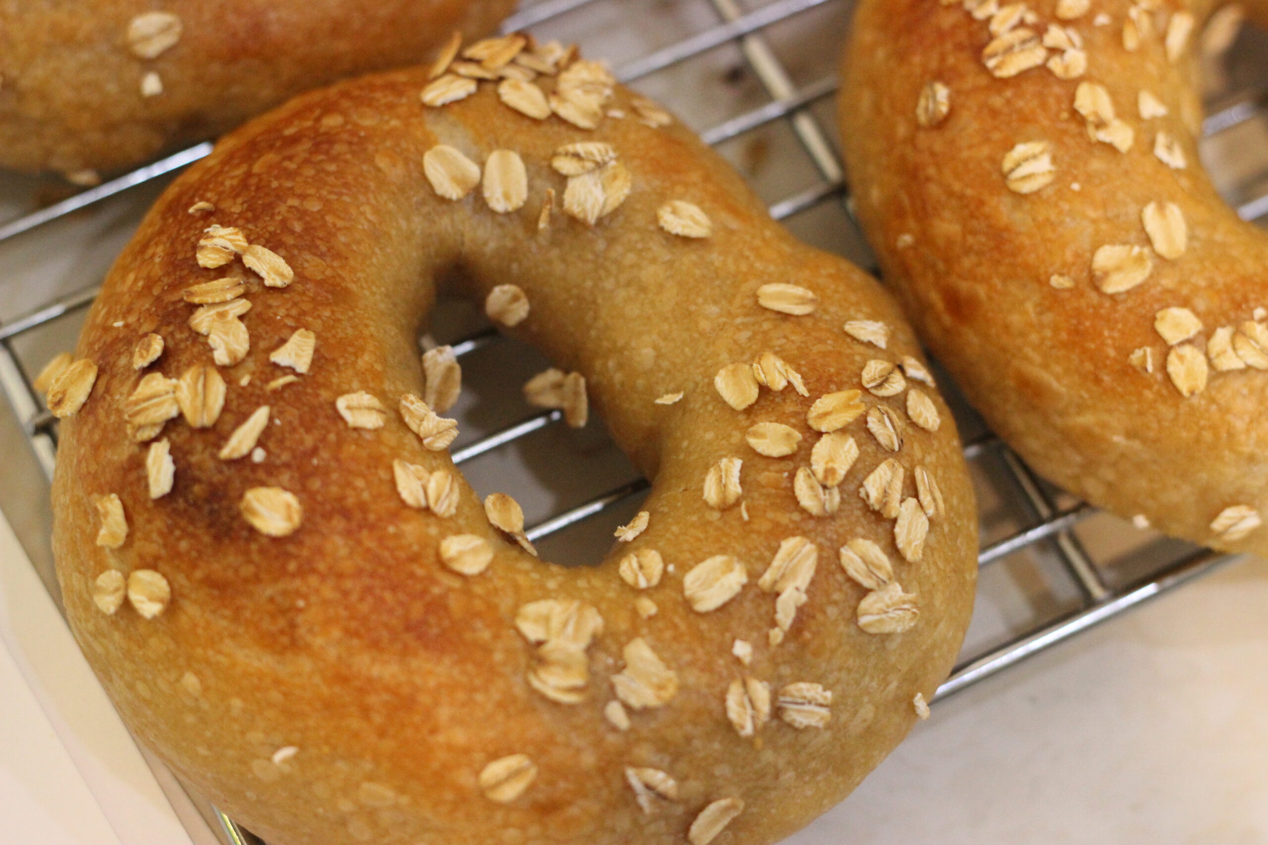 February 23rd, 2024: March Subscriptions & Sourdough Bagels - Hillsdale ...