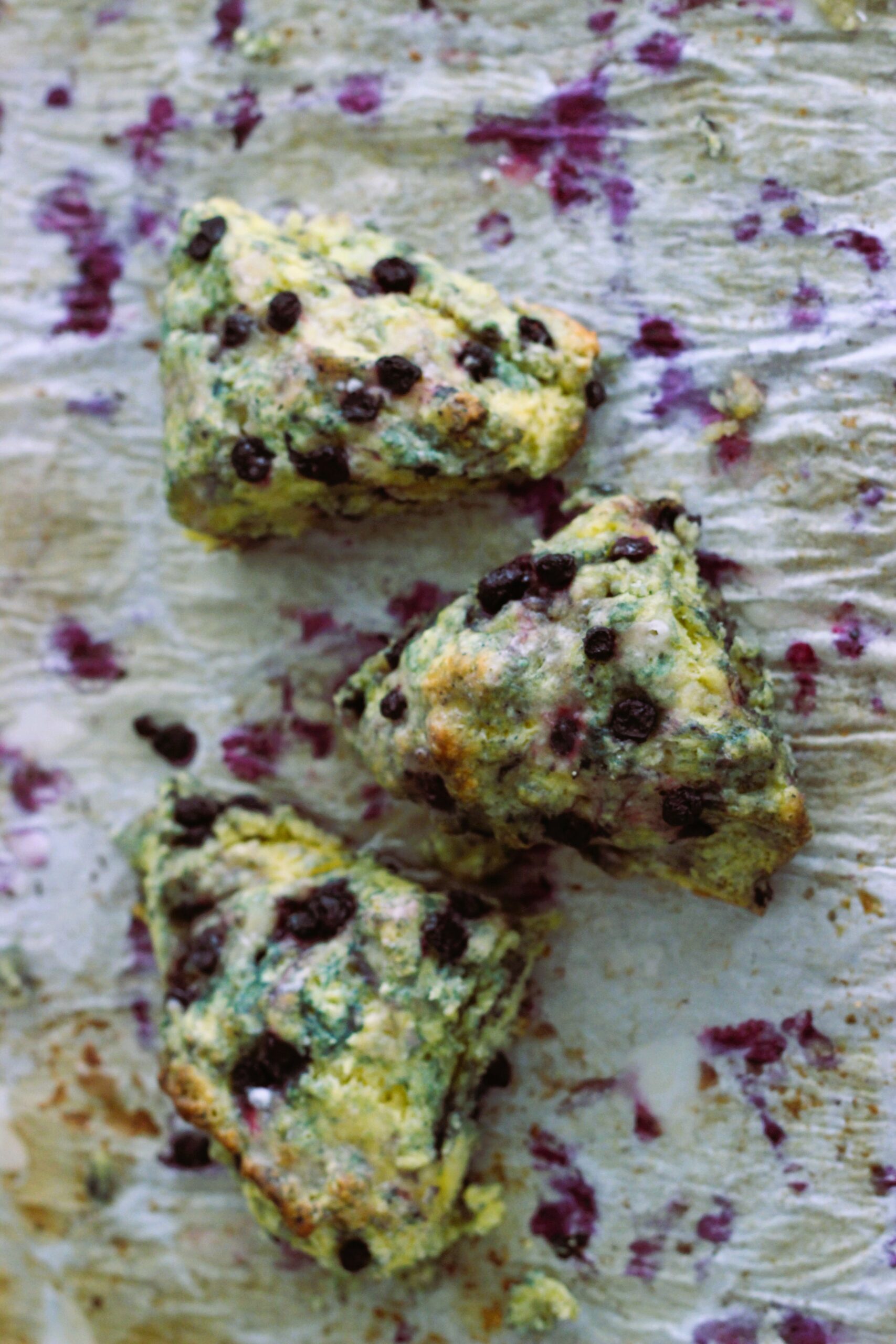 February 16th, 2024: Lemon Blueberry Scones - Hillsdale Hearth