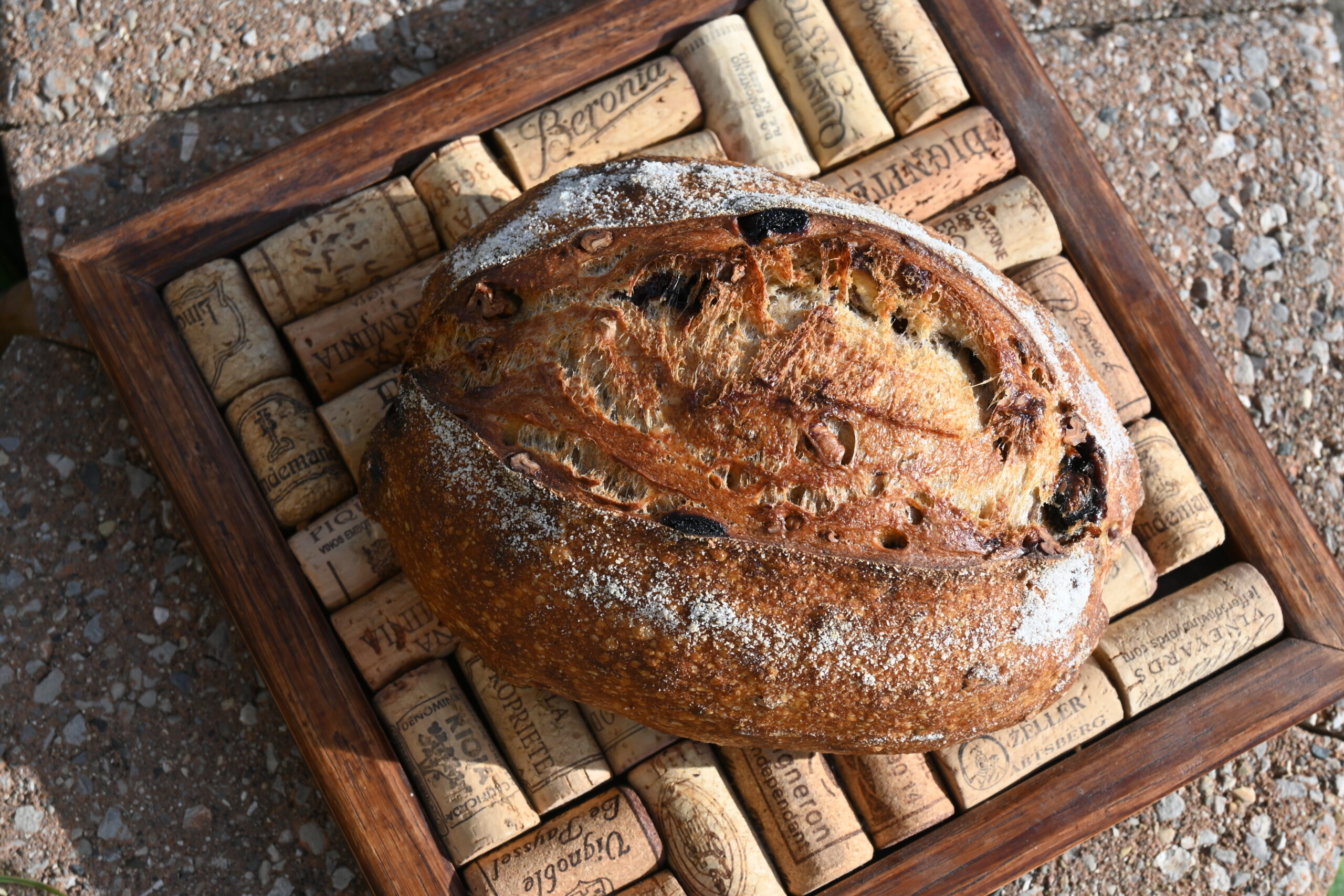 November 15th, 2024: Toasted Pecan & Cranberry Sourdough - Hillsdale Hearth